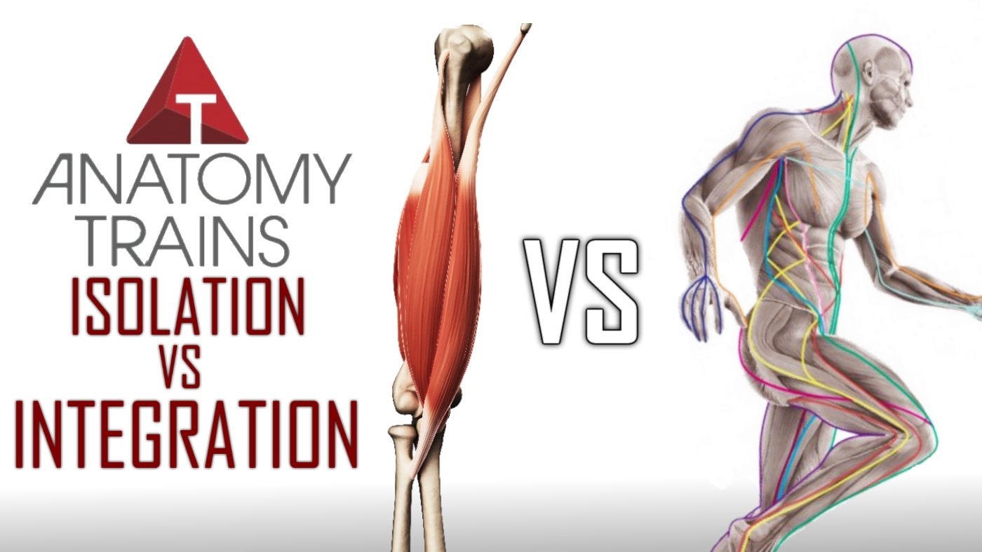 Thomas Myers on Biomechanics - Isolation vs Integration – Functional ...