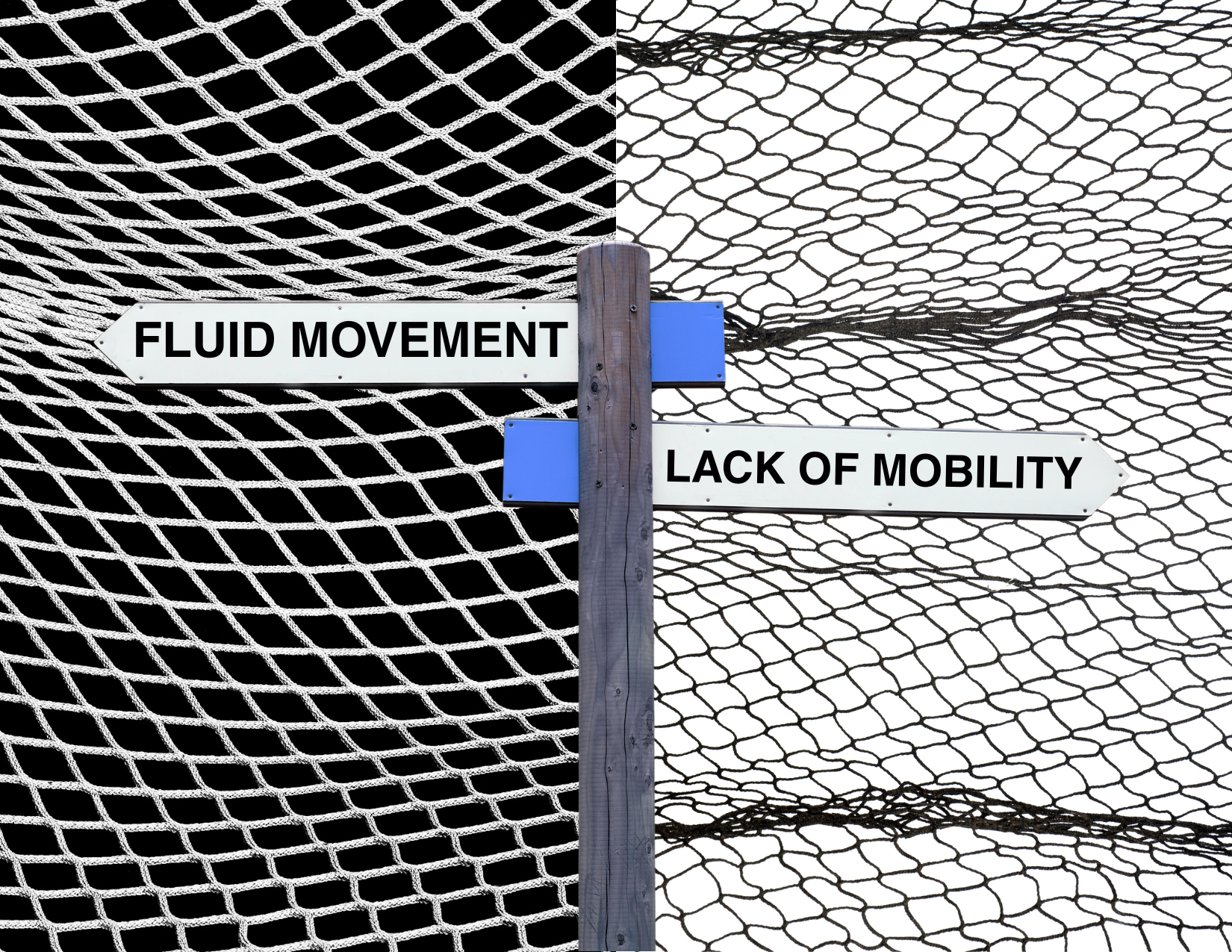 What Are Fascial Adhesions? And Why You're Body Might Feel "Stuck ...