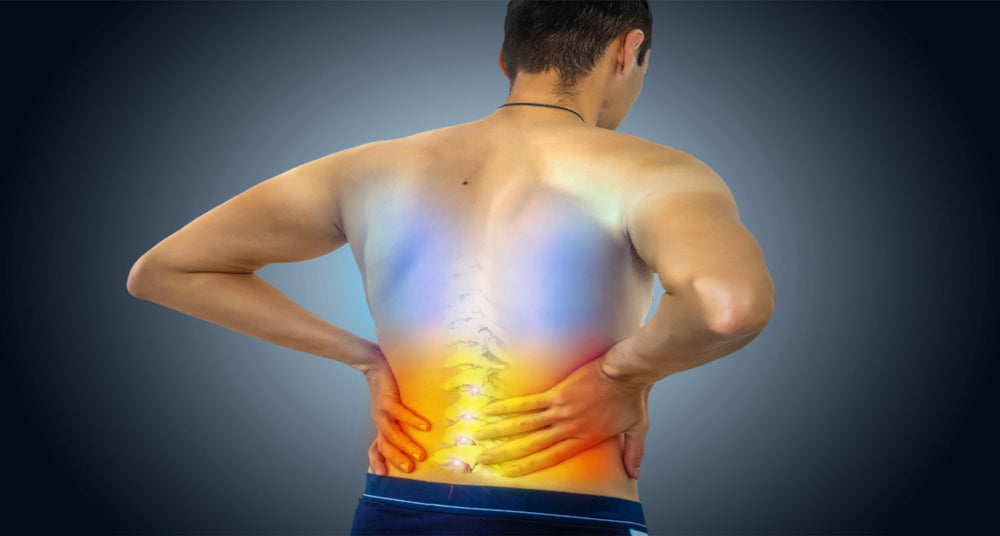 Articles | The Functional Patterns Knowledge Vault – tagged "back pain"