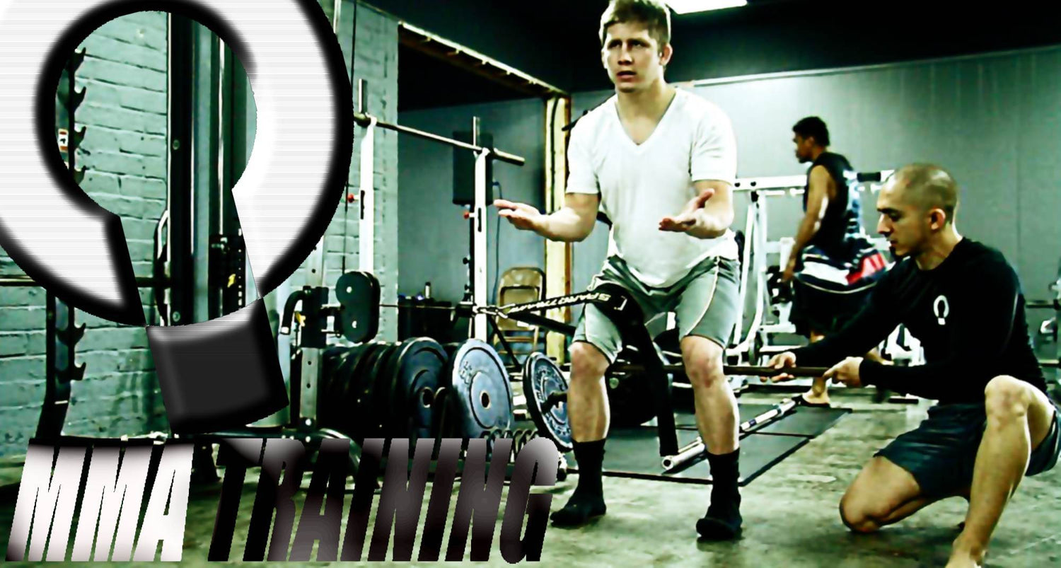 Basic Functional Training with UFC fighter Justin Lawrence – Functional ...